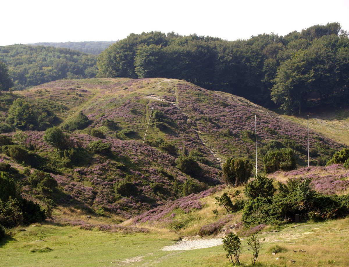 Vandreture i Nordjylland med overnatning | Skønneste natur